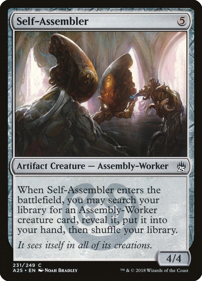 Self-Assembler (231) [Masters 25]